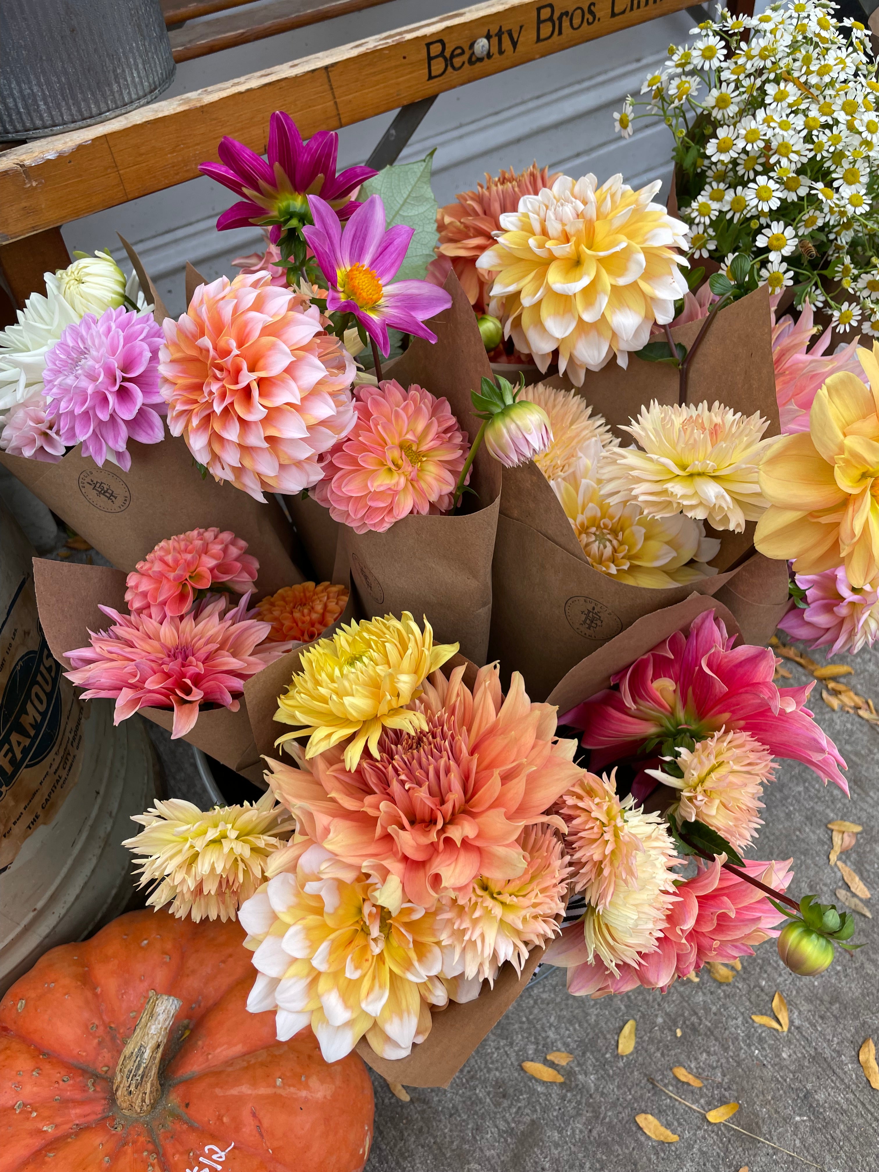 It's Time To Start Your Seeds! – Euclid Farms